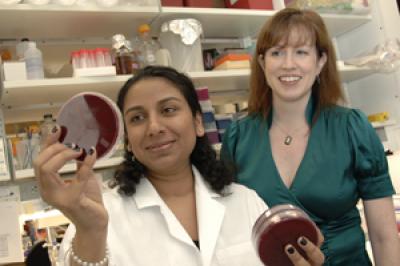 Dr. Lora Hooper, UT Southweste [IMAGE] | EurekAlert! Science News Releases