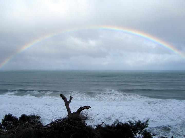 Phytoplankton Blooms Generate Clouds Over the | EurekAlert!