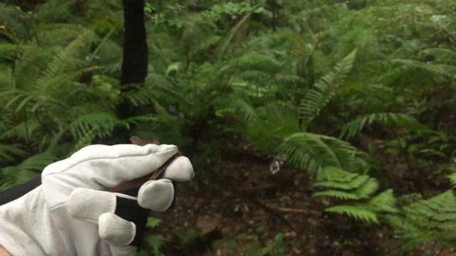Don't let them go quietly into the night | EurekAlert!