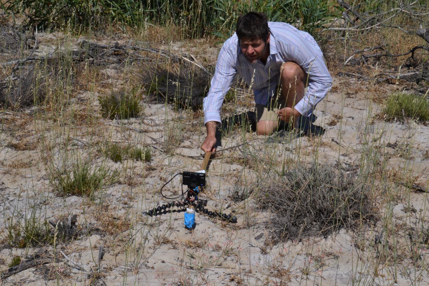 Professor Bruce Anderson in th [IMAGE] | EurekAlert! Science News Releases