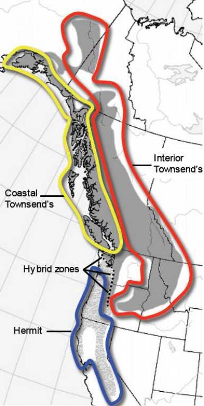 Warbler Range Map [IMAGE] | EurekAlert! Science News Releases