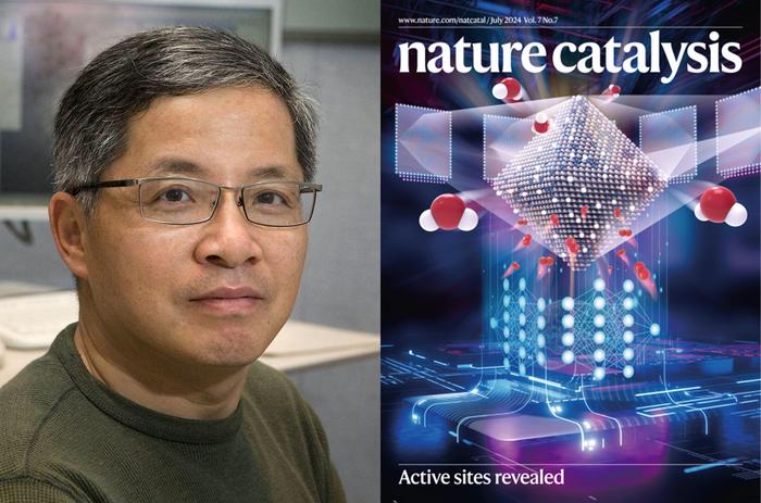 Cover of Nature Catalysis and [IMAGE] | EurekAlert! Science News Releases