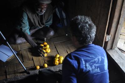 Numbers Without Number Line [IMAGE] | EurekAlert! Science News Releases