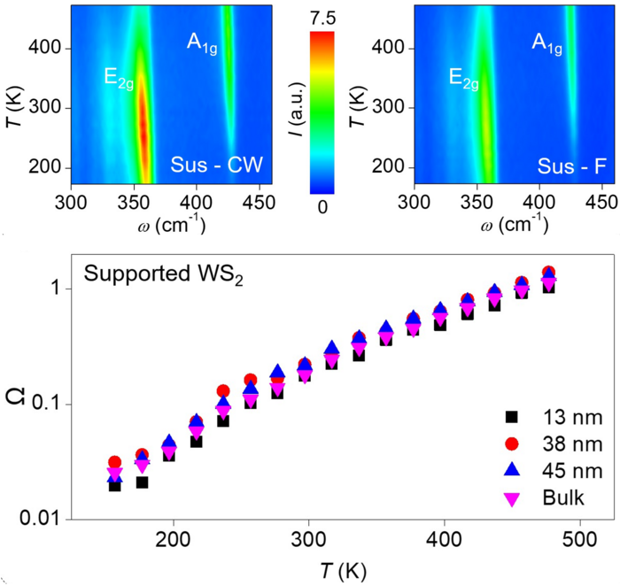 Resonance Raman scattering provides new ways | EurekAlert!
