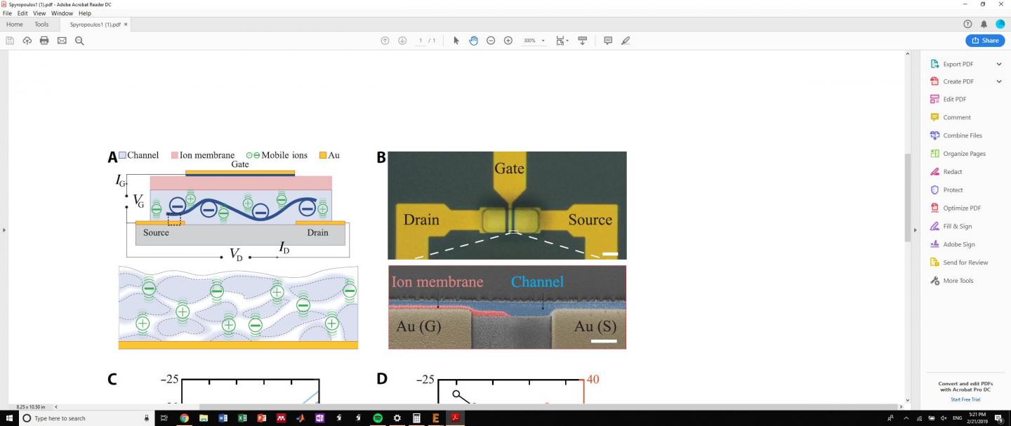 Integrated IGT-Based Digital L [IMAGE] | EurekAlert! Science News Releases
