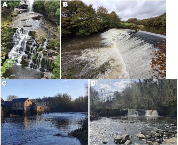 Mill site collage [IMAGE] | EurekAlert! Science News Releases