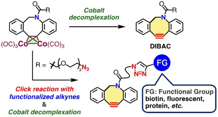 Expanding Click Chemistry Tool [image] Eurekalert Science News Releases