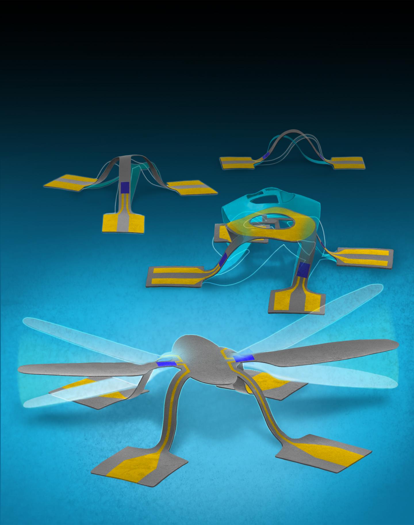 Mechanically Active Materials [IMAGE] | EurekAlert! Science News Releases