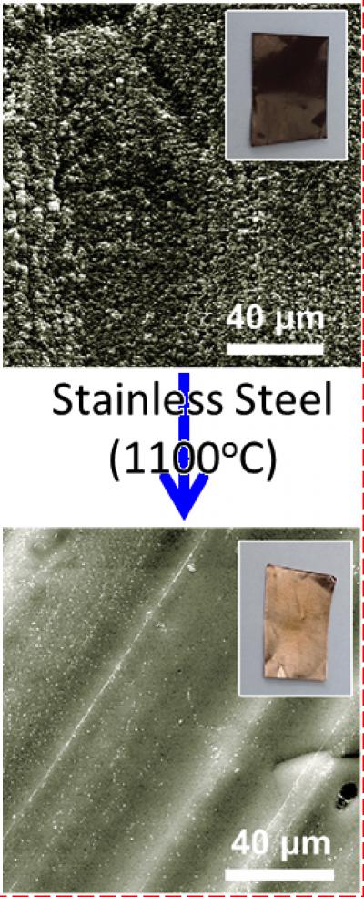 HBN (2 of 2) [IMAGE] | EurekAlert! Science News Releases