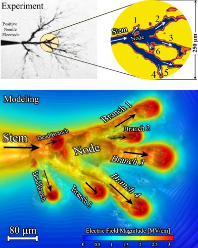 3-D models of electrical streamers | EurekAlert!