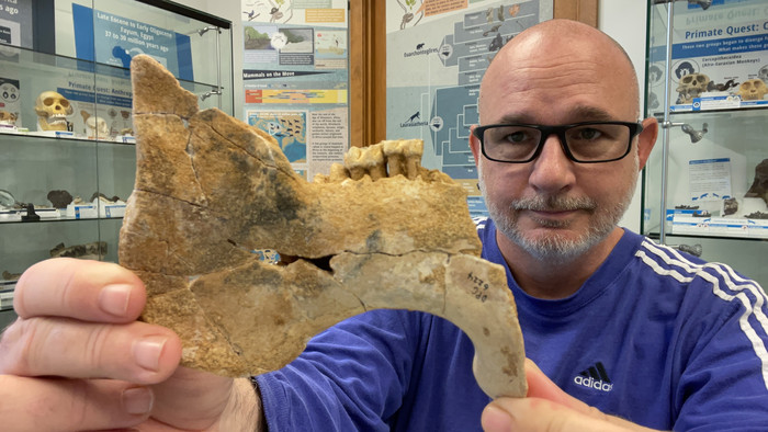 Sea Cow Heritage [IMAGE] | EurekAlert! Science News Releases