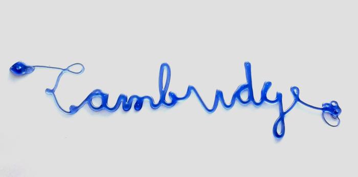 A 3D-printed cursive "Cambridg [IMAGE] | EurekAlert! Science News Releases