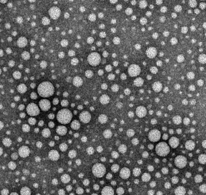 Drug Particles [IMAGE] | EurekAlert! Science News Releases