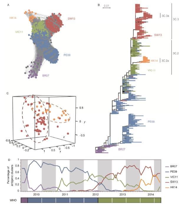 Evolution Of Human Influenza A [image] Eurekalert Science News Releases