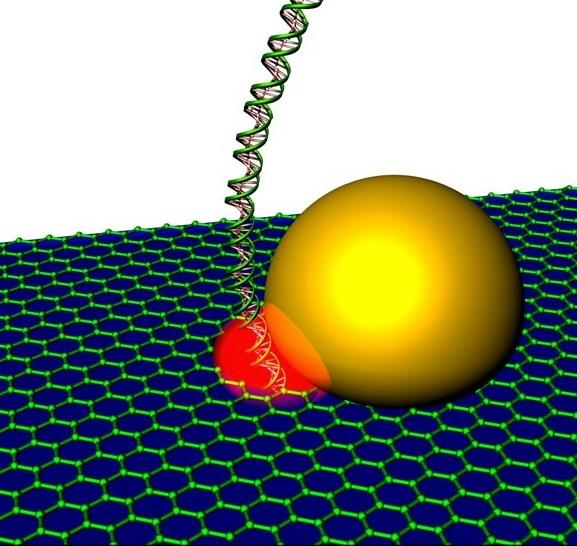 Graphene Nanopore with Integra [IMAGE] | EurekAlert! Science News Releases