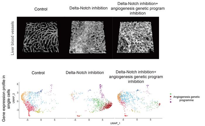 Figure [image] Eurekalert Science News Releases