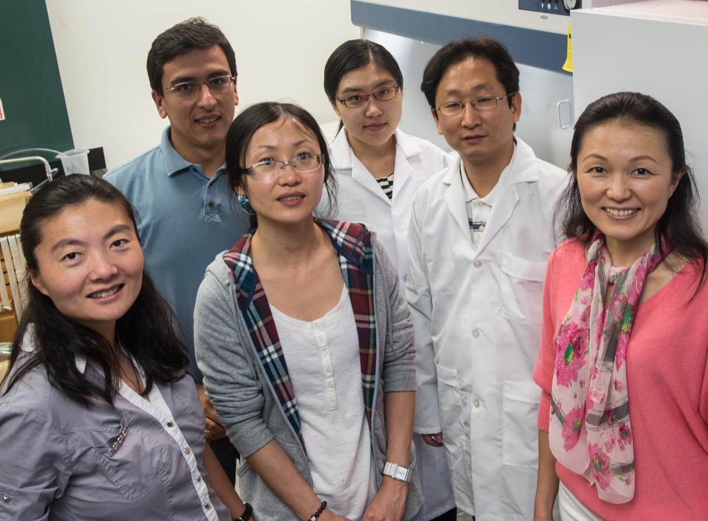 Rice Researchers on the Projec [IMAGE] | EurekAlert! Science News Releases