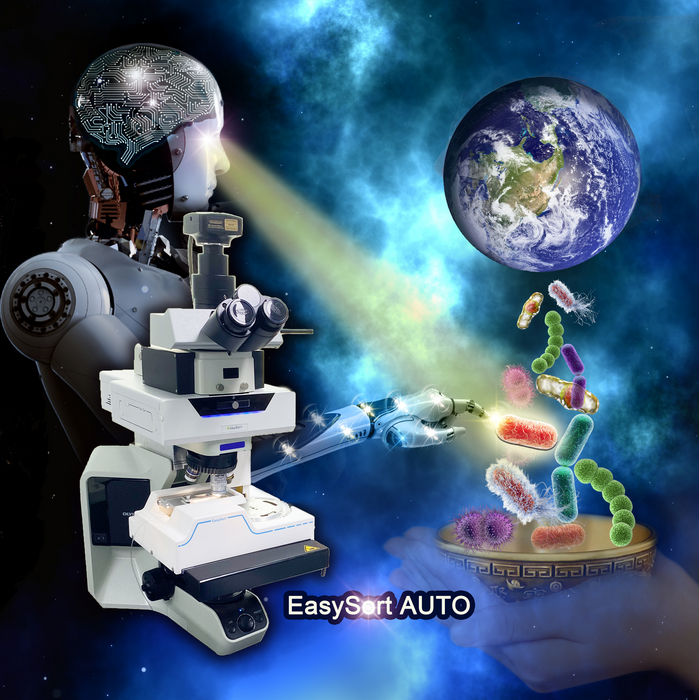 AI-assisted automated single-c [IMAGE] | EurekAlert! Science News Releases