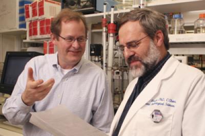 Dr. Philip Thorpe and Ralph Ma [IMAGE] | EurekAlert! Science News Releases