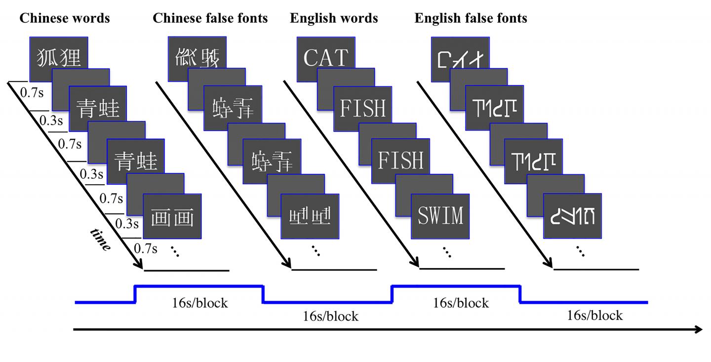 Distinct Language Patterns in [IMAGE] | EurekAlert! Science News Releases