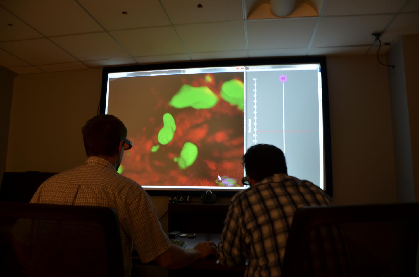 3-D Biovisualization Lab [IMAGE] | EurekAlert! Science News Releases