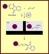 Teaching old transition metals new tricks: Ch | EurekAlert!