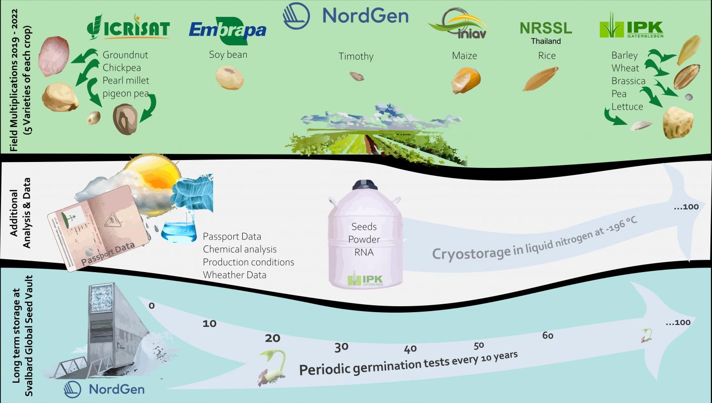 Svalbard Global Seed Vault commences seed exp | EurekAlert!