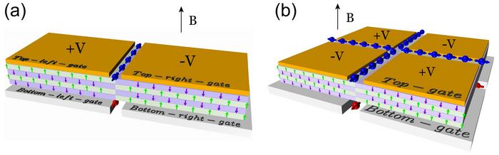 Dissipationless Layertronics i [IMAGE] | EurekAlert! Science News Releases
