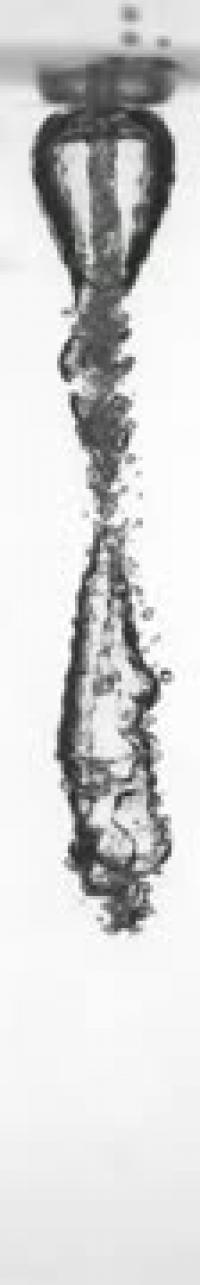 The Matryoshka effect: USU researchers descri | EurekAlert!