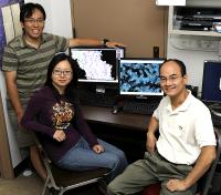 Iowa State, Ames Lab researchers identify str | EurekAlert!