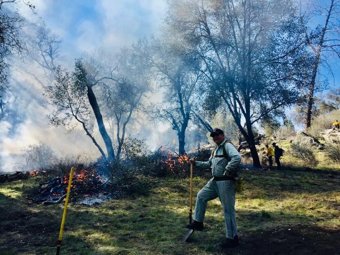Controlled burn [IMAGE] | EurekAlert! Science News Releases