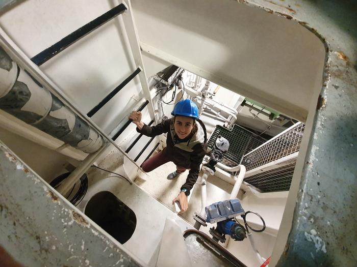 Nicole Taylor 1 [IMAGE] | EurekAlert! Science News Releases