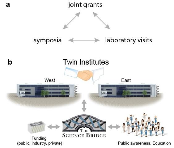The Science Bridge [IMAGE] | EurekAlert! Science News Releases