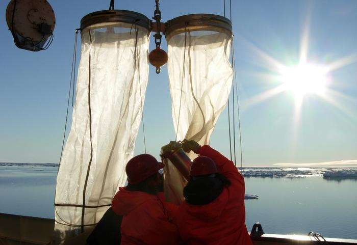 Deployment of the Bongo net du [IMAGE] | EurekAlert! Science News Releases