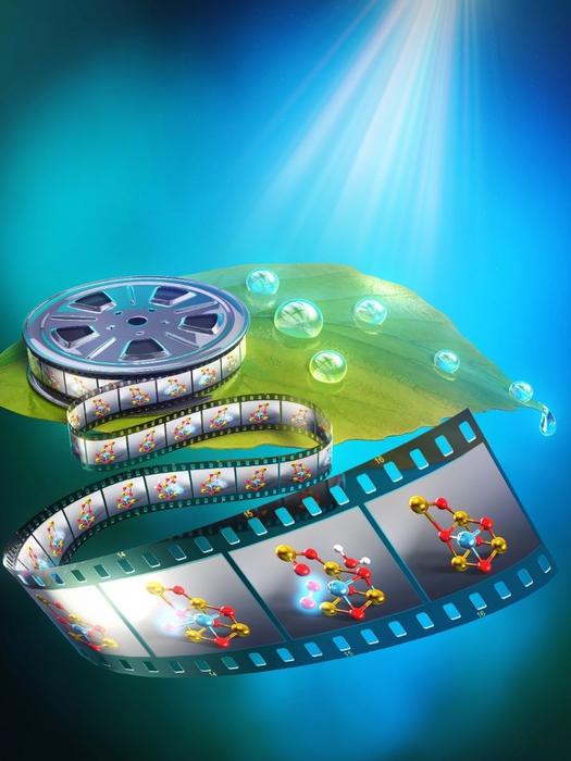 The mechanism of water-splitti [IMAGE] | EurekAlert! Science News Releases