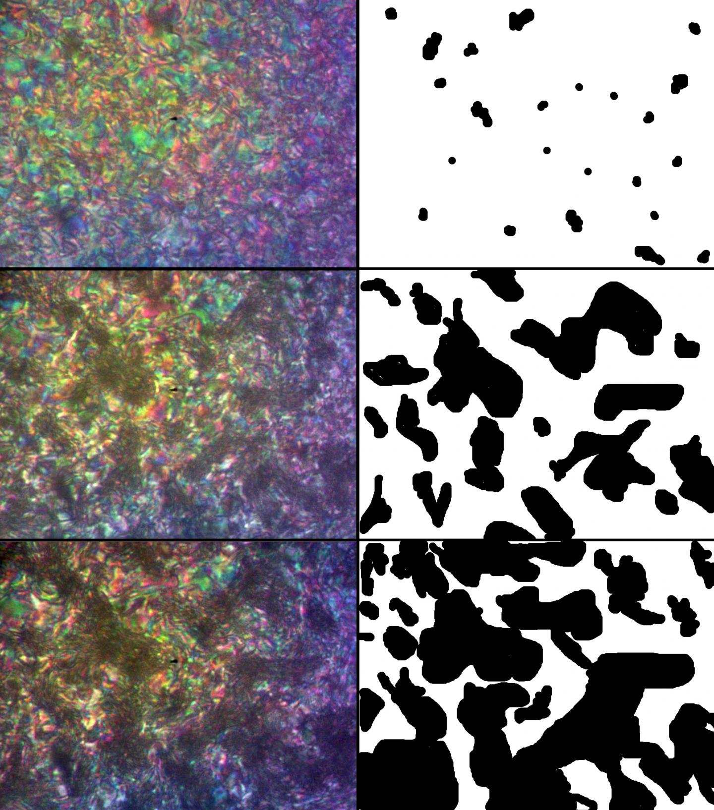 Cold crystallization has a dual nature | EurekAlert!