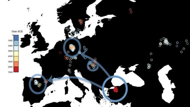 Ancient genomes reveal natural selection in a | EurekAlert!