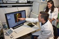 NIH Study Examines Processes Underlying Rapid | EurekAlert!