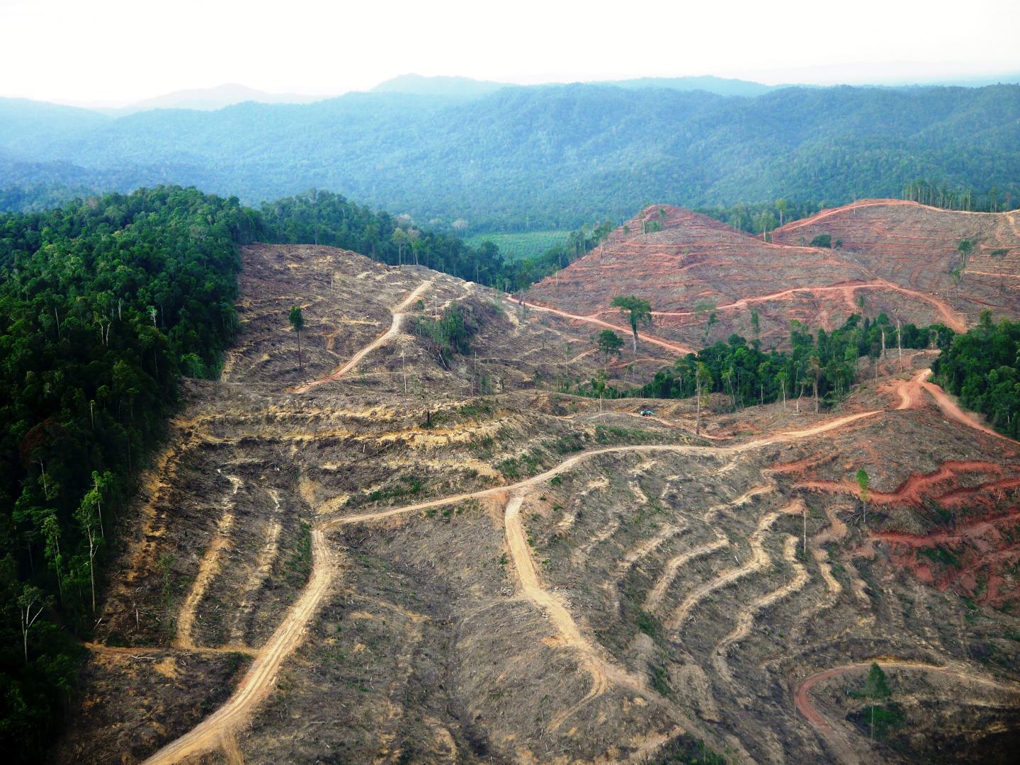 Human-driven Extinction of Wor [IMAGE] | EurekAlert! Science News Releases