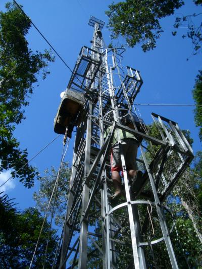 Research Tower [IMAGE] | EurekAlert! Science News Releases