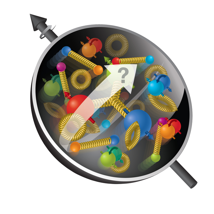 Proton spin dynamics [IMAGE] | EurekAlert! Science News Releases
