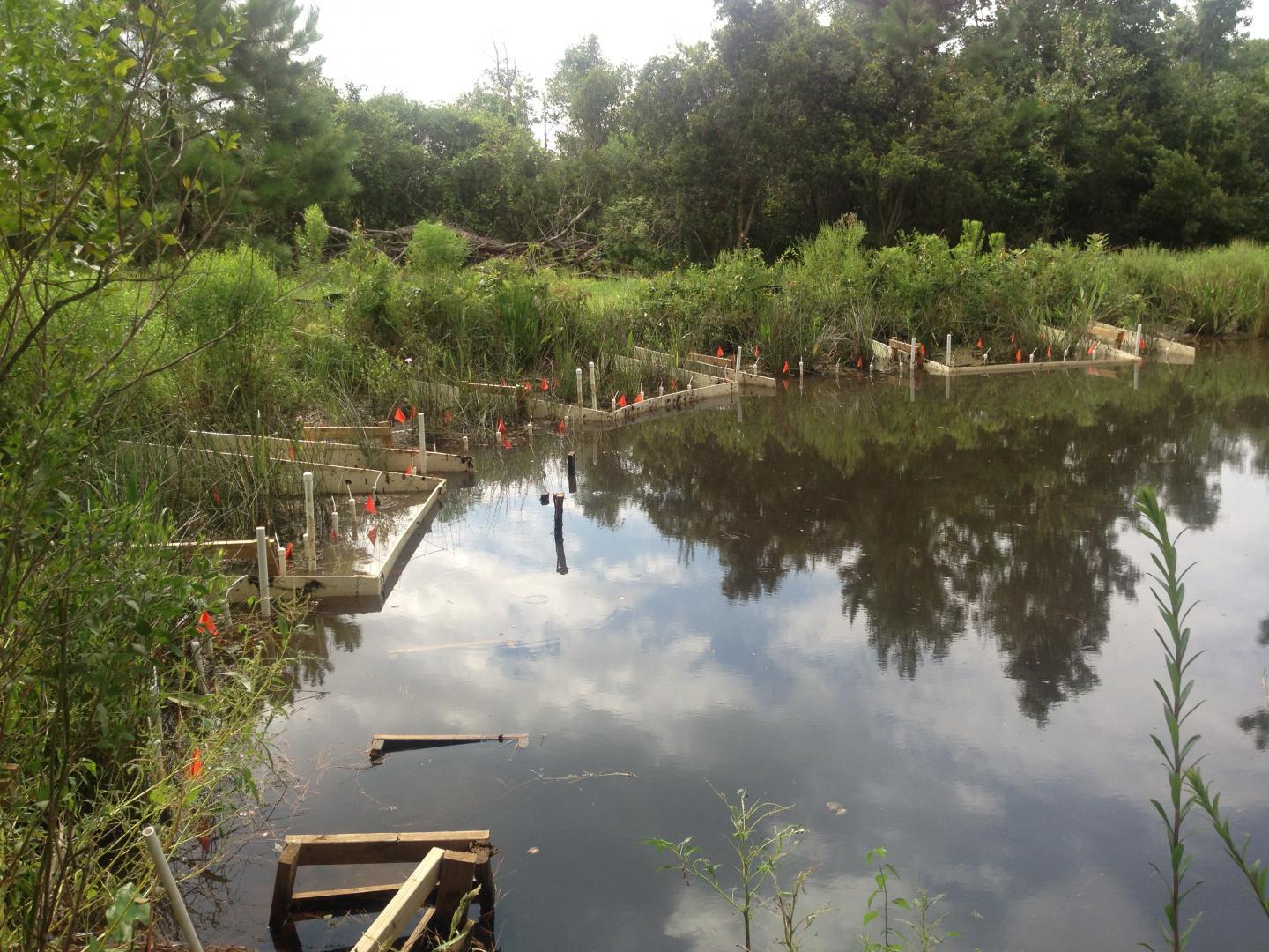 Wetland Flooding [IMAGE] | EurekAlert! Science News Releases