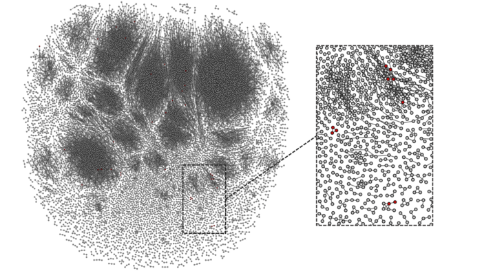 Overview of a T-cell response [IMAGE] | EurekAlert! Science News Releases