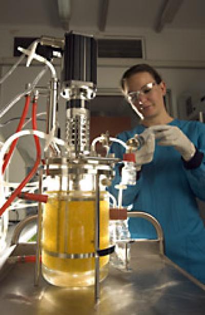 Polymer Oil [IMAGE] | EurekAlert! Science News Releases