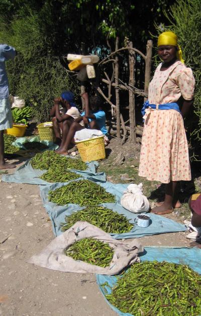 Researchers introducing sustainable agricultu | EurekAlert!