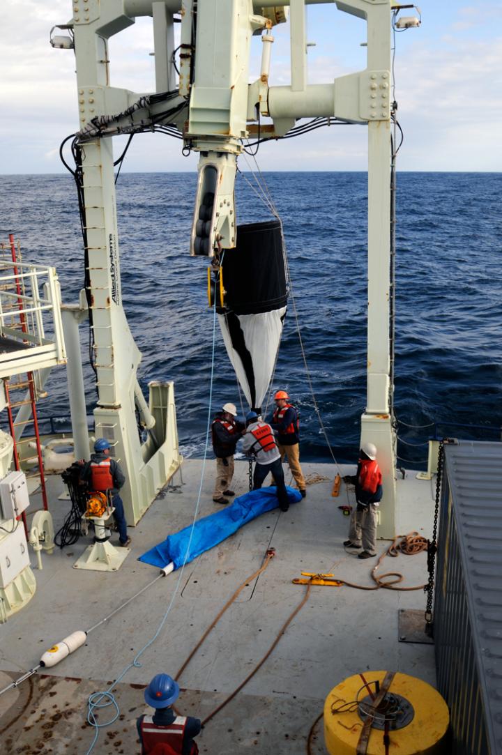 Sediment Trap [IMAGE] | EurekAlert! Science News Releases