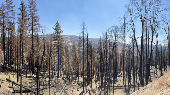 Creek Fire [IMAGE] | EurekAlert! Science News Releases