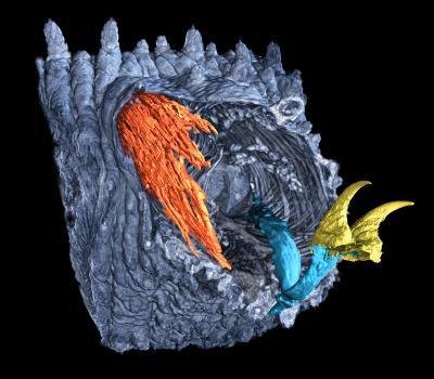 X-Ray CT Rendering of a Walkin [IMAGE] | EurekAlert! Science News Releases
