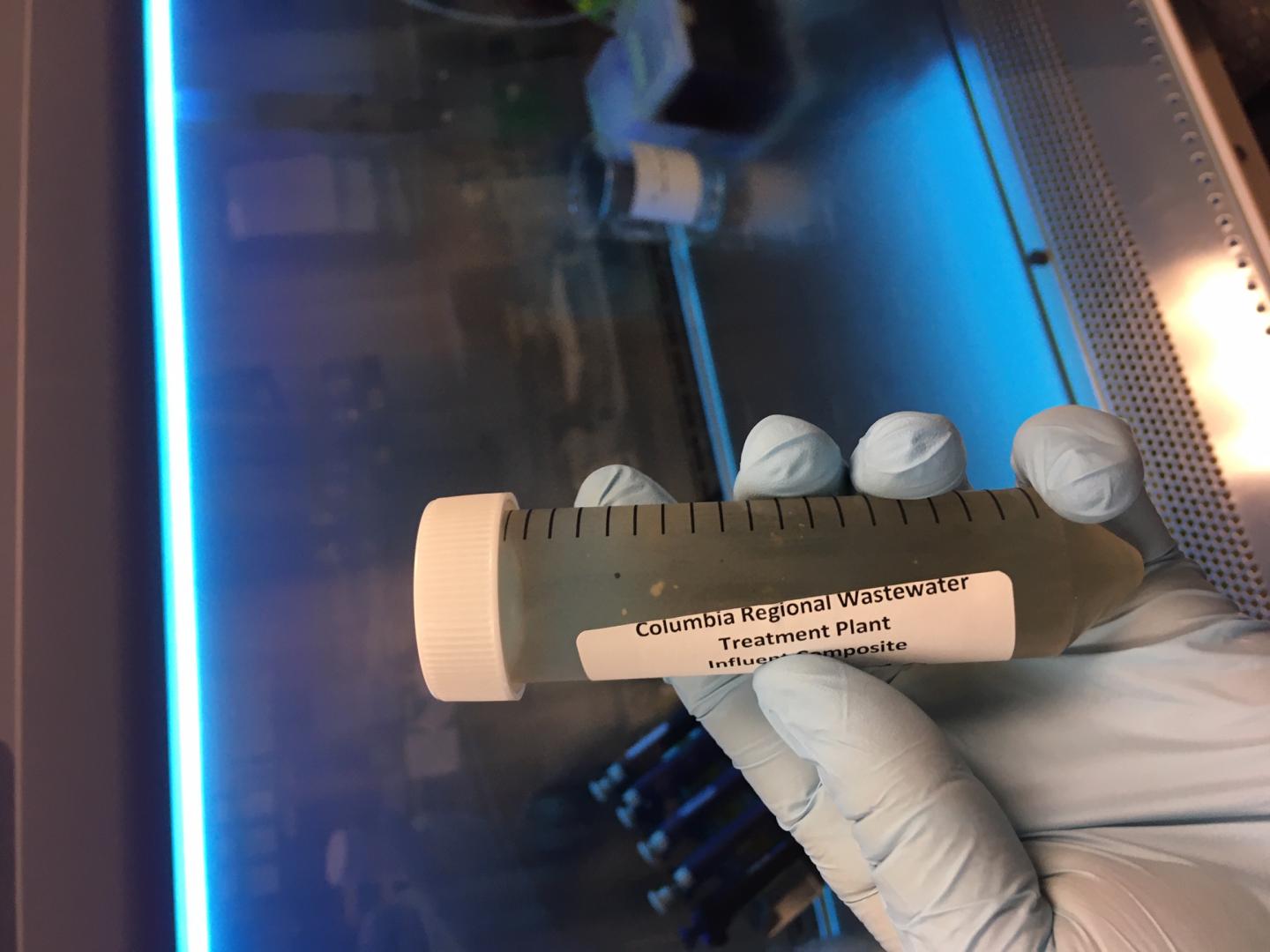 Wastewater Sample [IMAGE] | EurekAlert! Science News Releases