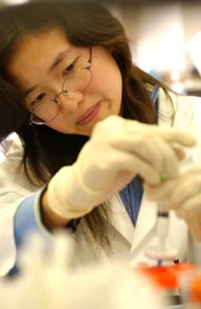 Ying Liang, University of Kent [IMAGE] | EurekAlert! Science News Releases